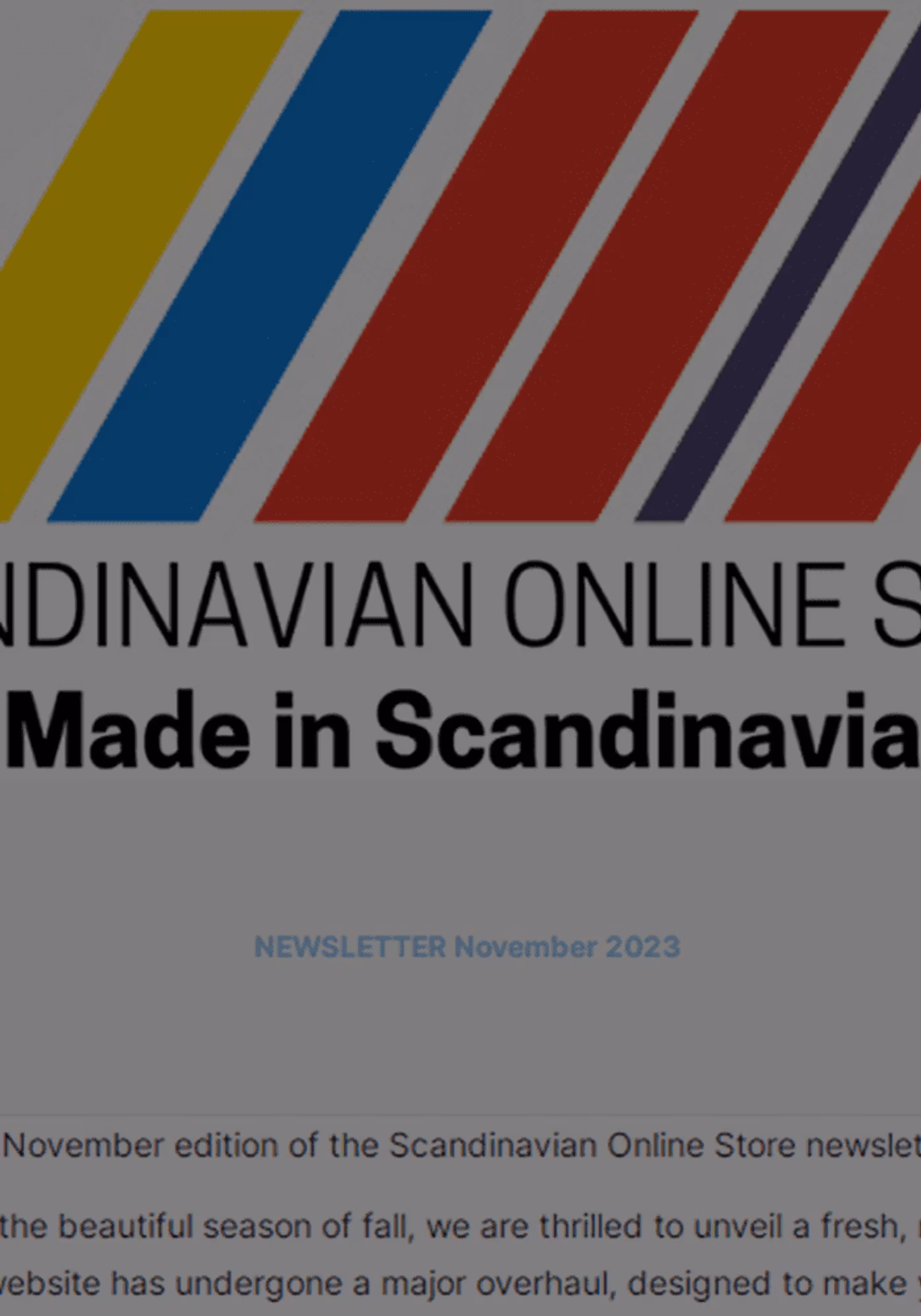 Skandinavischer Online-Shop