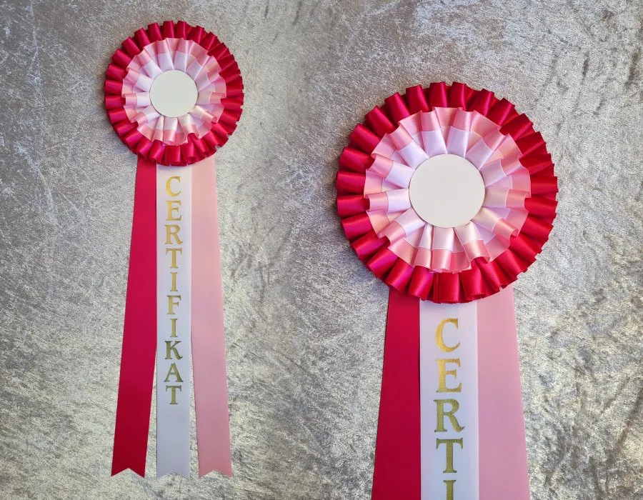CERTIFIKAT - L1866 - 1st Rosette