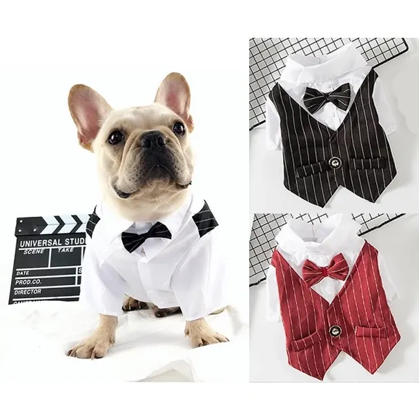 Tuxedo, Frack till hund - Dashing Dogs