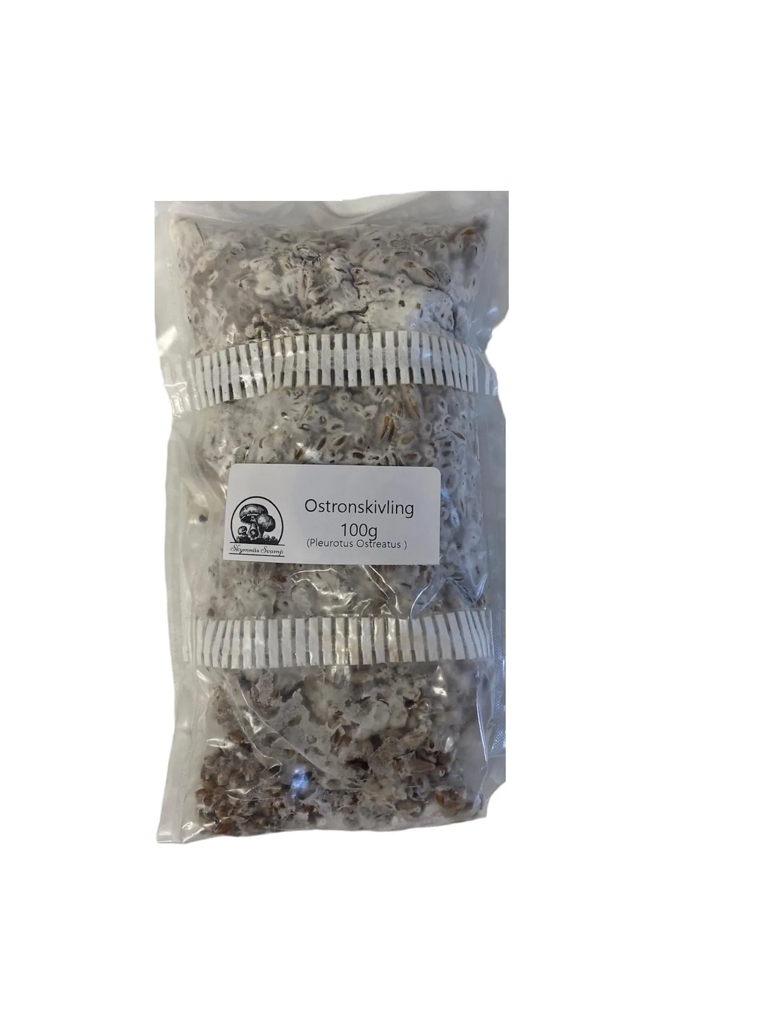Ostronskivling mycel 100g - Skymnäs Svamp - Svampodling - svampextrakt