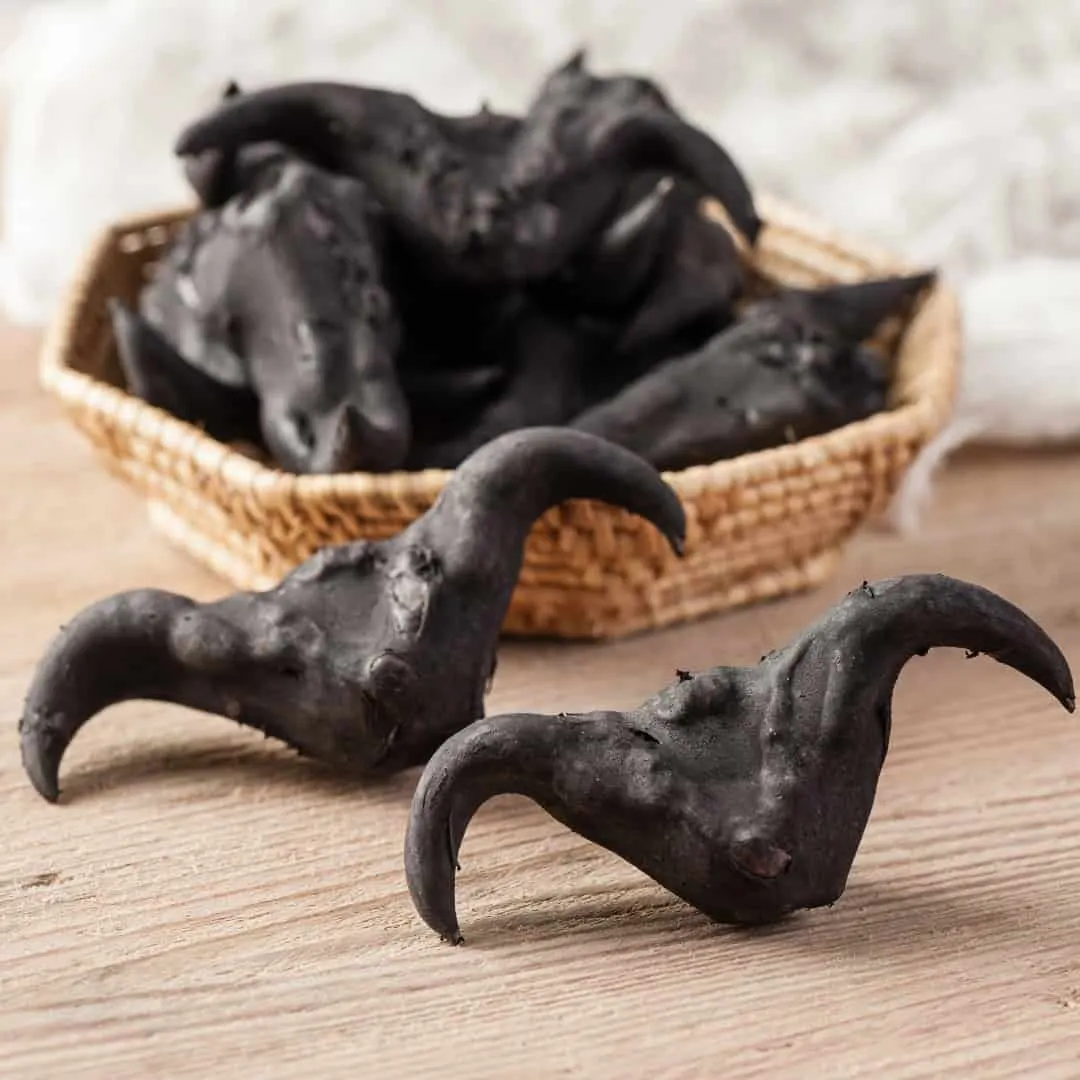 Devil pods frön - Nordiccrystal.se
