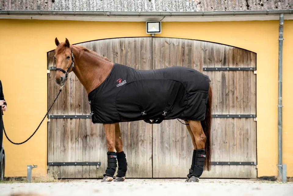 Catago FIR-Tech terapidekken - THB Equestrian