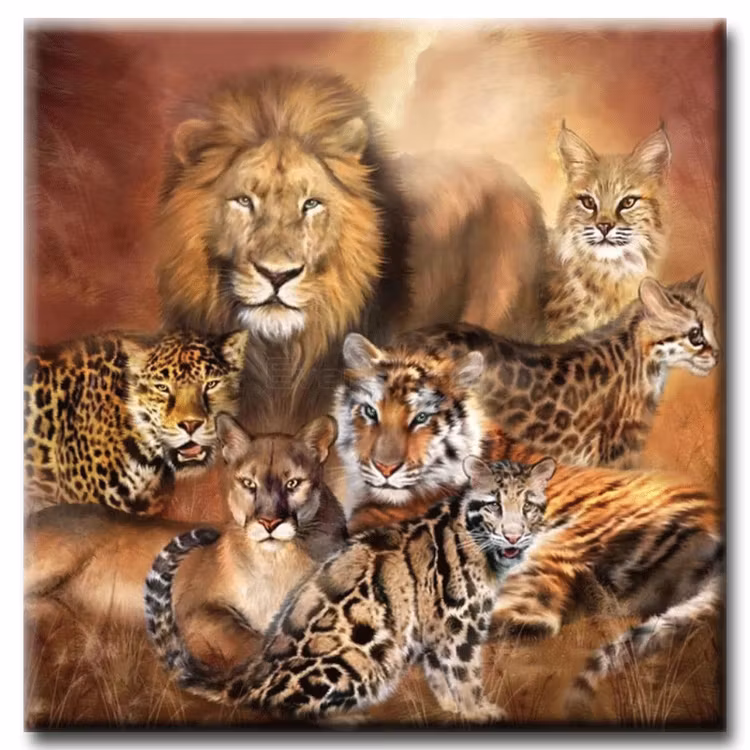 Diamanttavla Big Cats 50x50 - Diamanttavlor
