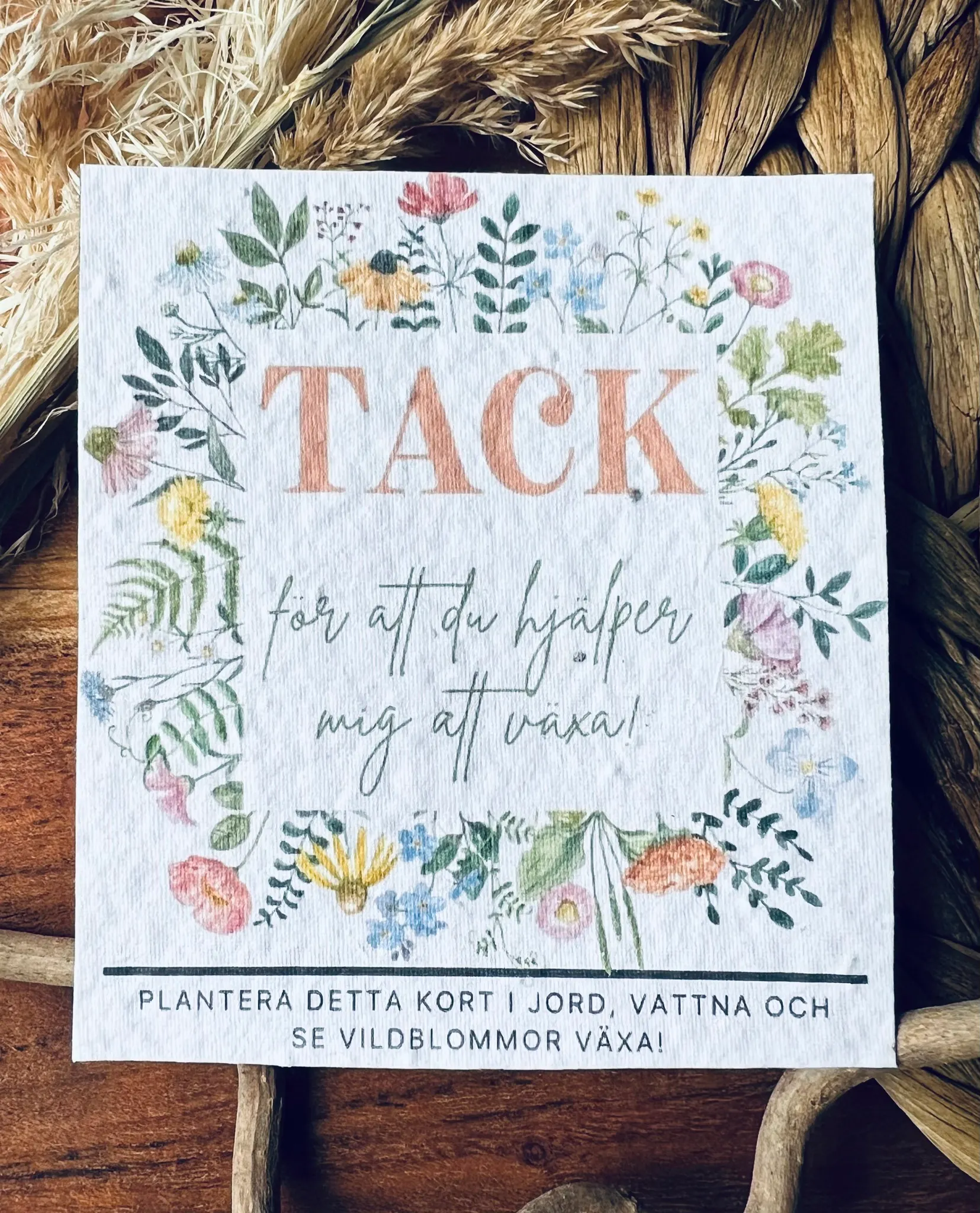 Planterbart frökort - Tack för att du hjälper mig att växa! - Twig & Dot