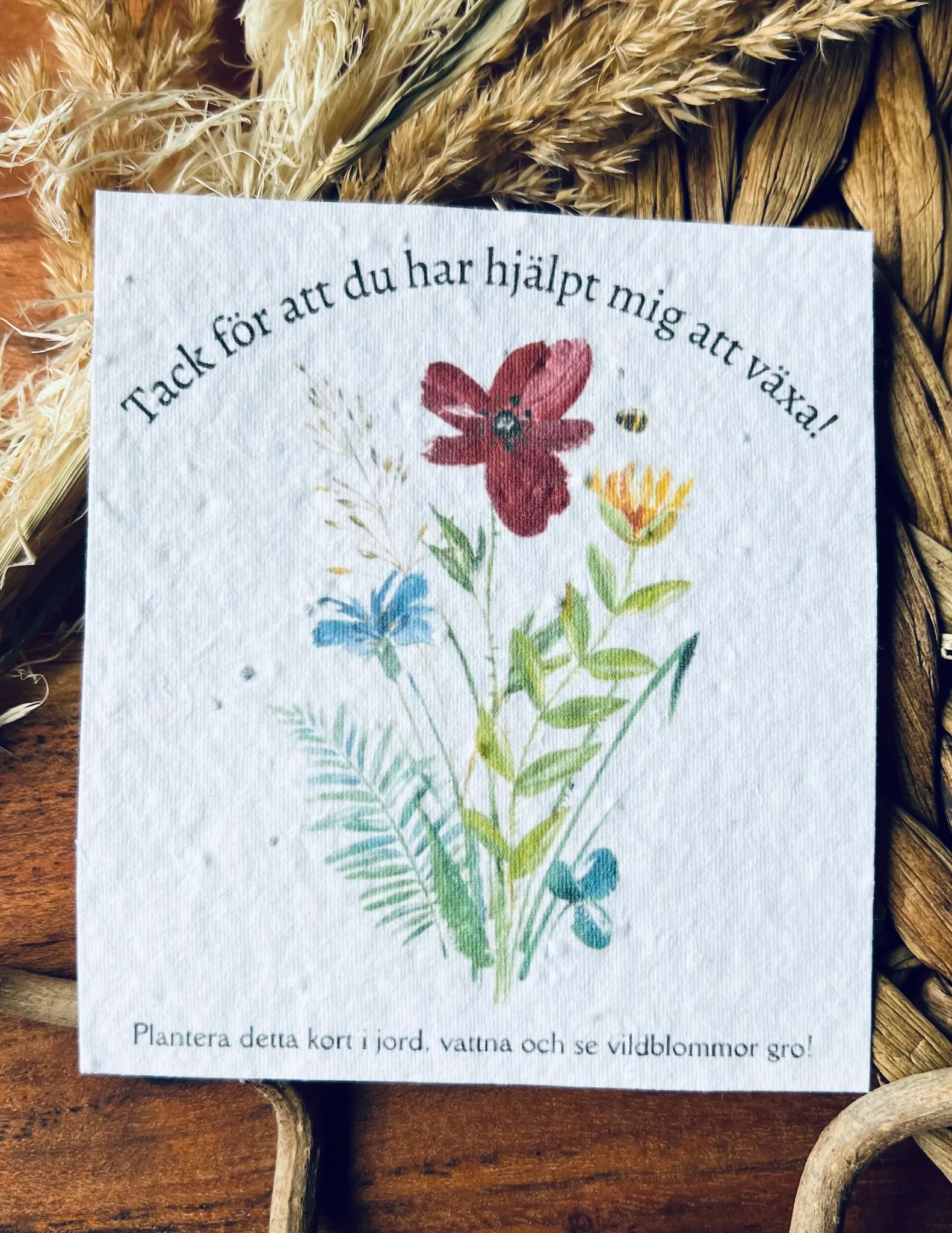 Planterbart frökort - Tack för att du har hjälpt mig att växa! - Twig & Dot